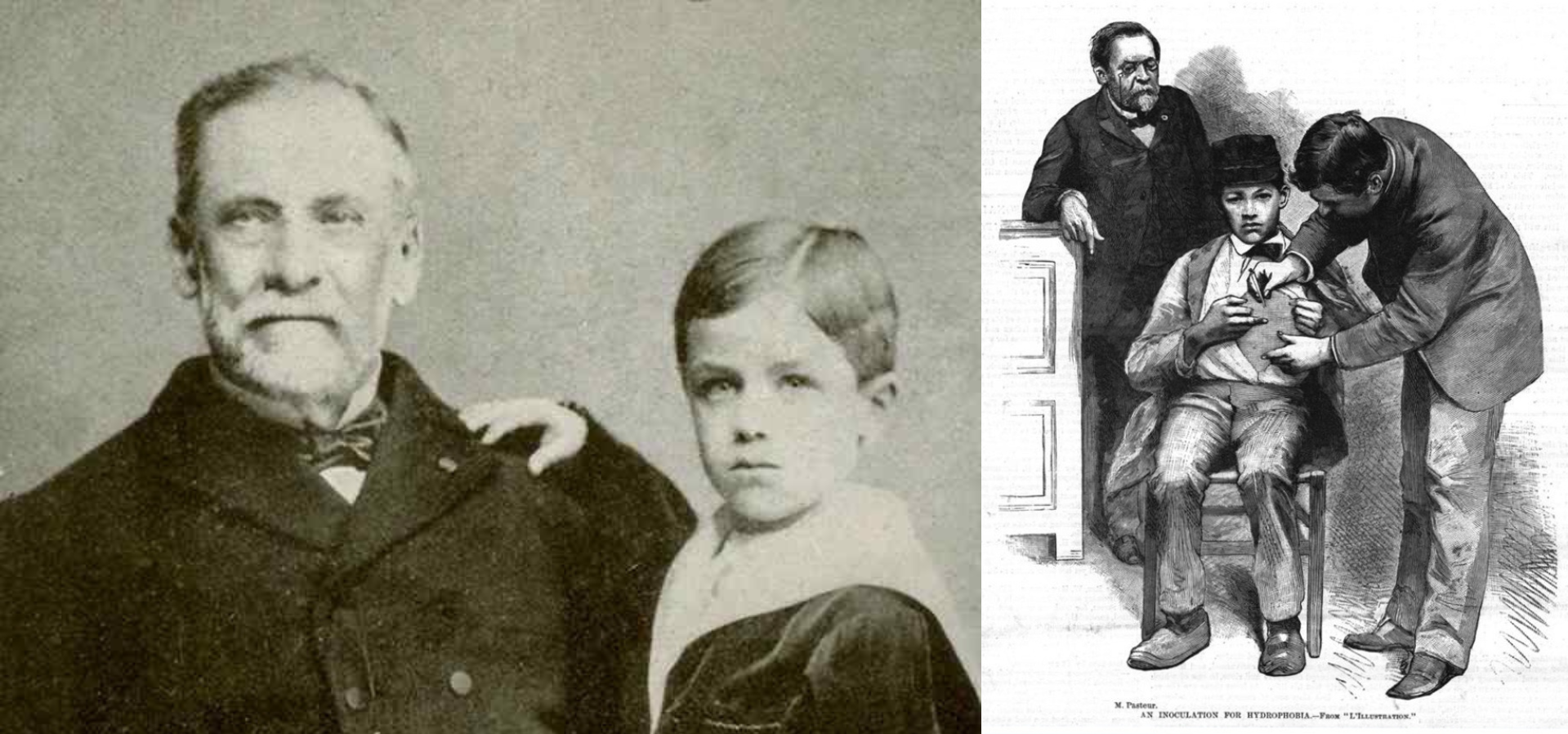 Primeras vacunas :: "El Pasteuriano" - 200 Aniversario de Louis Pasteur